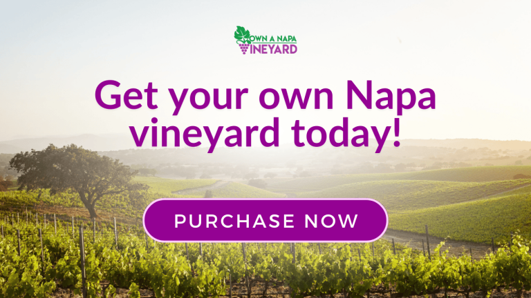 Top Things to Do in Napa Valley | Own a Napa Vineyard