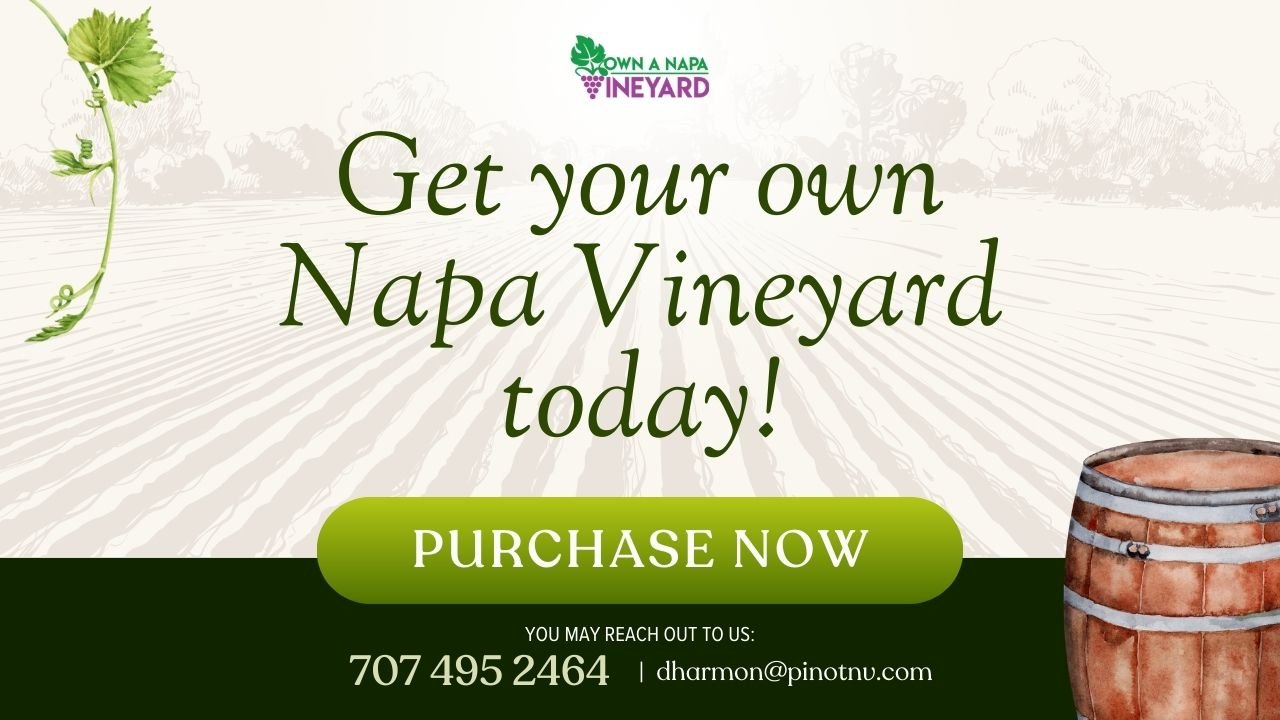 What is the Best Fertilizer for Grape Vines? | Own a Napa Vineyard