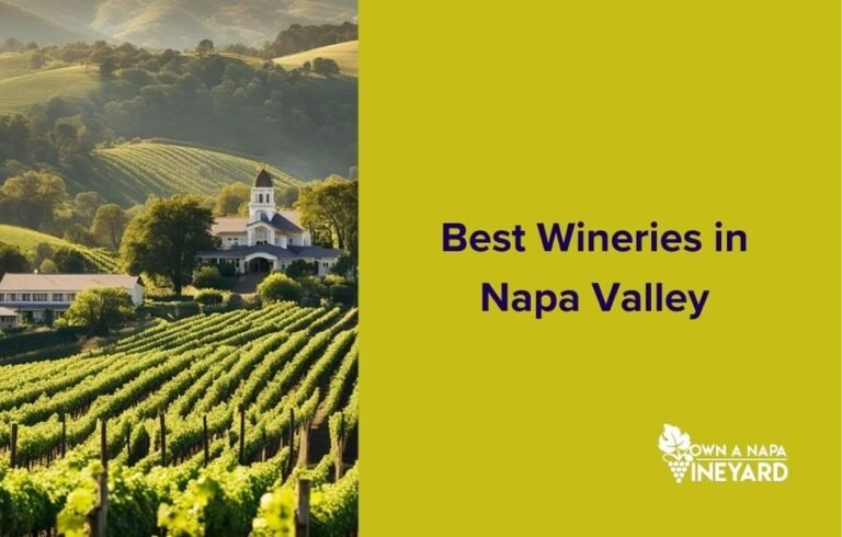 Discover the Best Wineries in Napa Valley