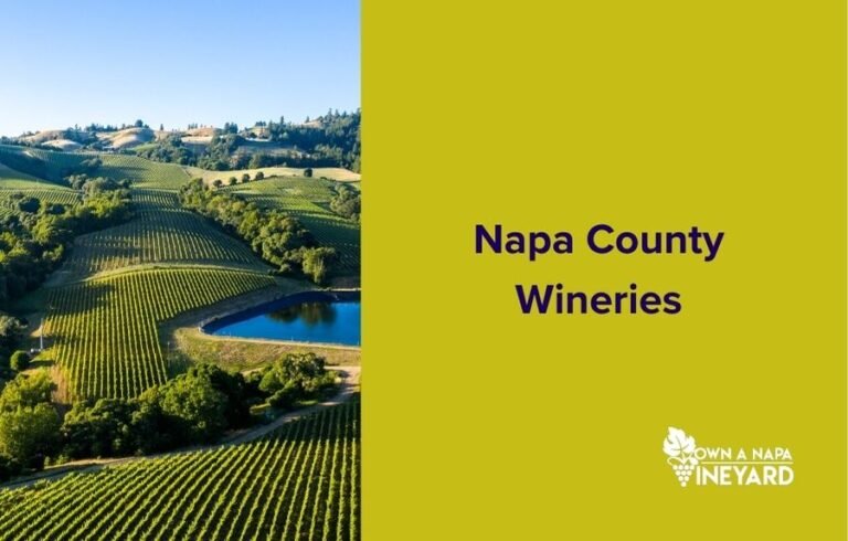 Discovering the Best Napa County Wineries
