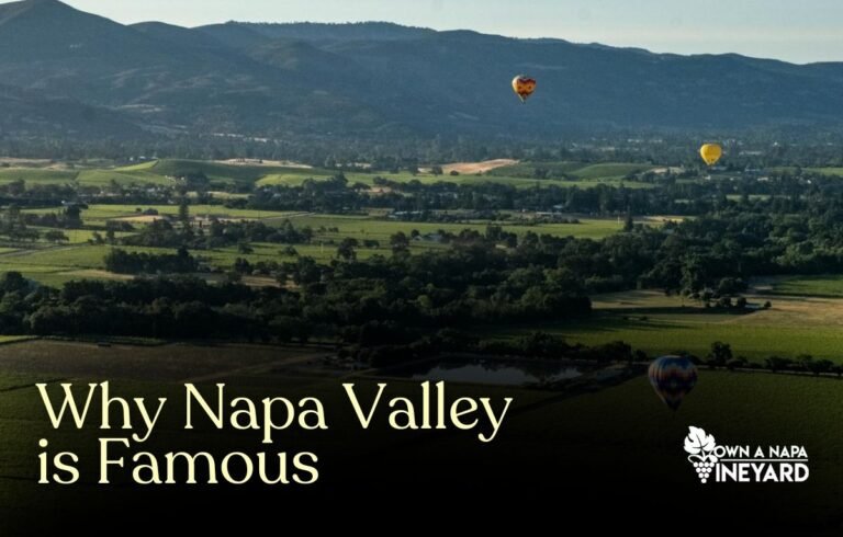 Why Napa Valley Is Famous Around the World