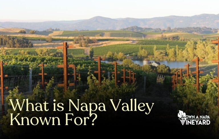 What is Napa Valley Known For? | Own a Napa Vineyard