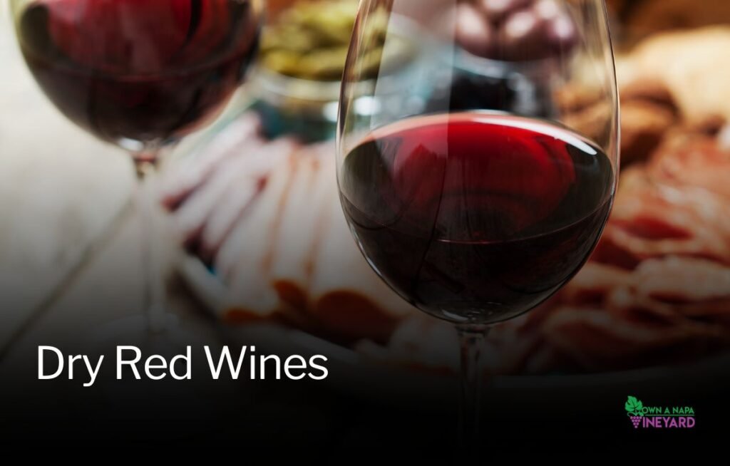 Dry Red Wines: Everything You Need to Know